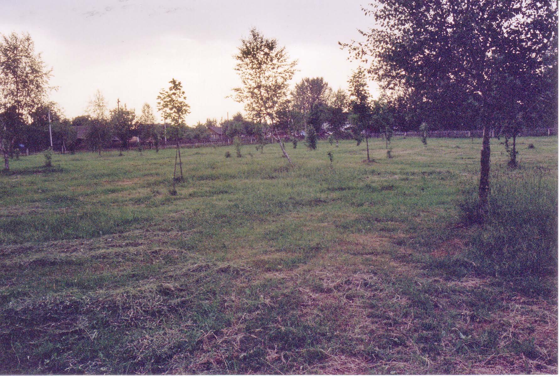 Lida Area survivor testimonies